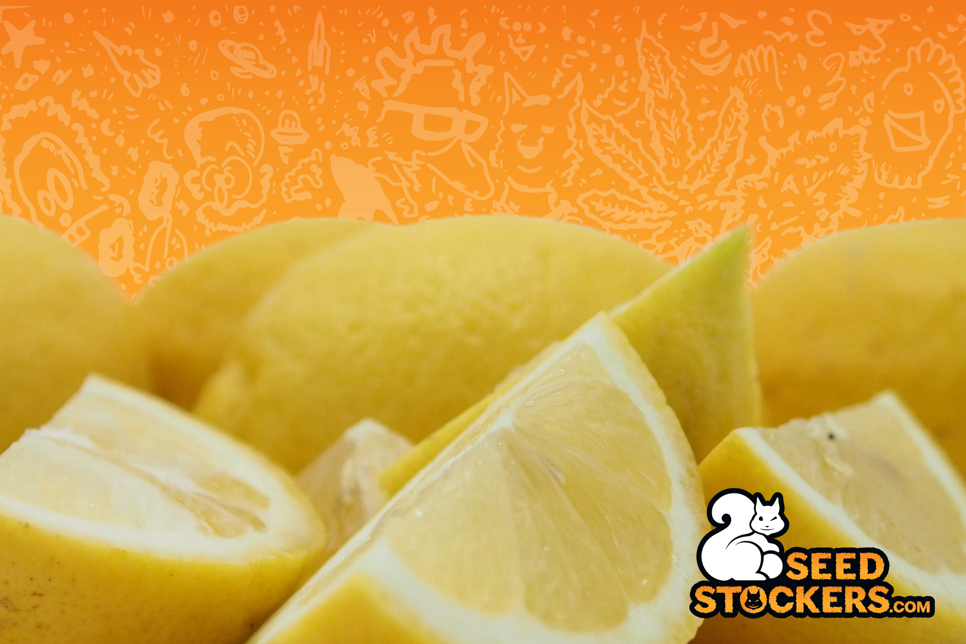 Cosa Sono I Terpeni Di Cannabis? - Weedstockers