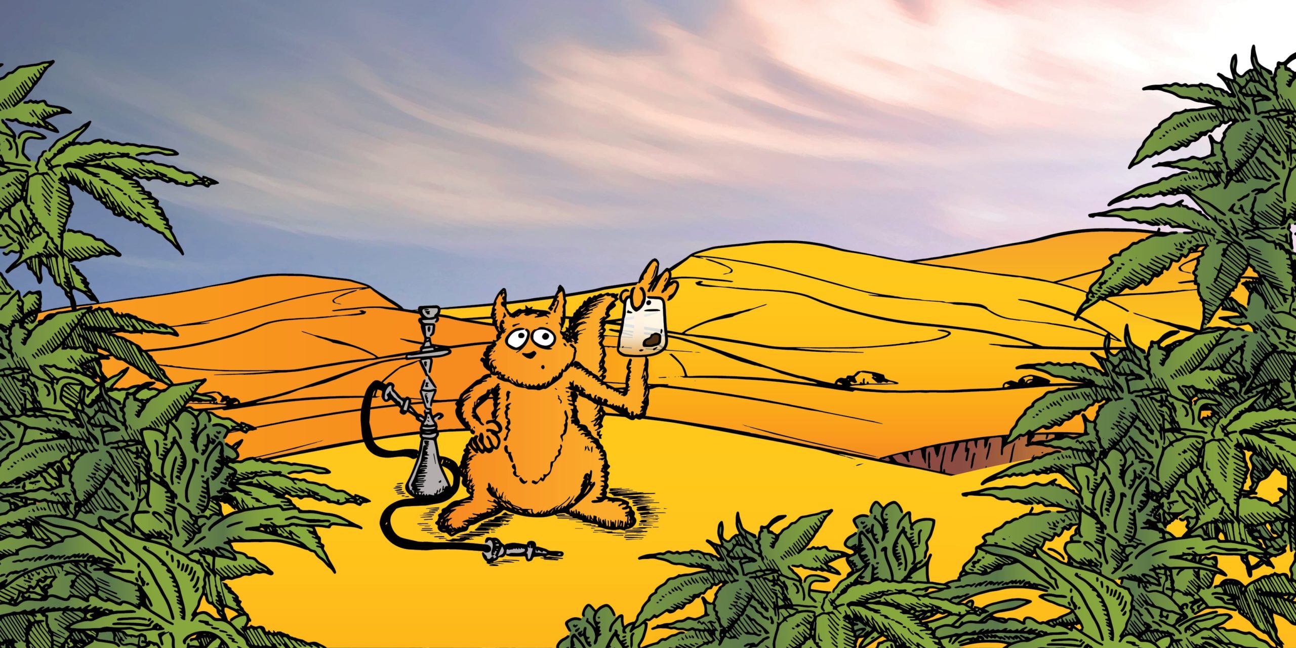 Il Marocco legalizzerà la produzione e la vendita della cannabis ad uso ...